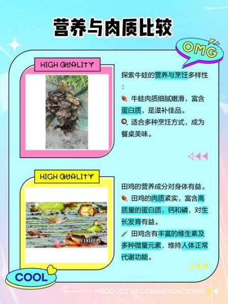 田鸡是不是牛蛙_田鸡和牛蛙的区别-第1张图片-山城妙识