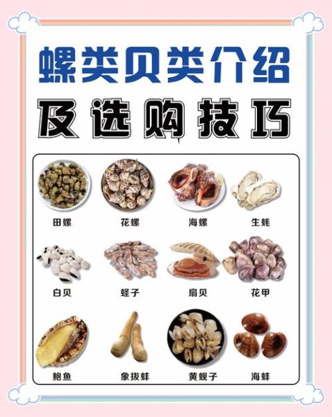 海鲜贝类有哪些_贝类怎么挑选才新鲜-第1张图片-山城妙识 海鲜贝类有哪些_贝类怎么挑选才新鲜-第1张图片-山城妙识