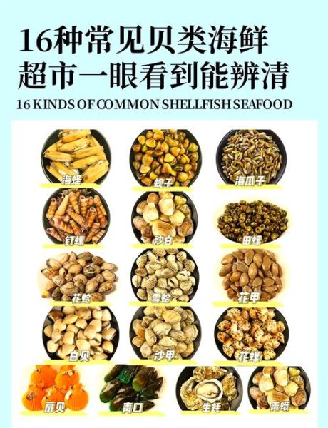 海鲜贝类有哪些_贝类怎么挑选才新鲜-第3张图片-山城妙识 海鲜贝类有哪些_贝类怎么挑选才新鲜-第3张图片-山城妙识