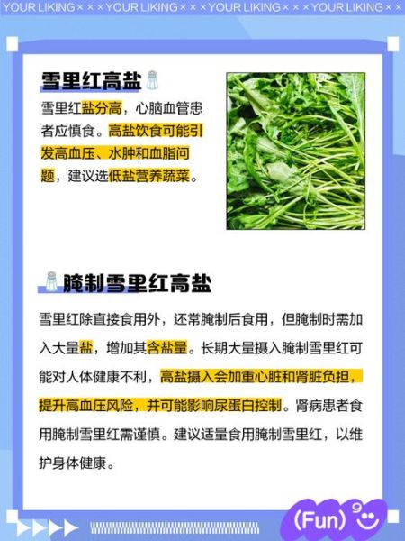 雪里红苦是什么原因_雪里红发苦还能吃吗-第3张图片-山城妙识 雪里红苦是什么原因_雪里红发苦还能吃吗-第3张图片-山城妙识