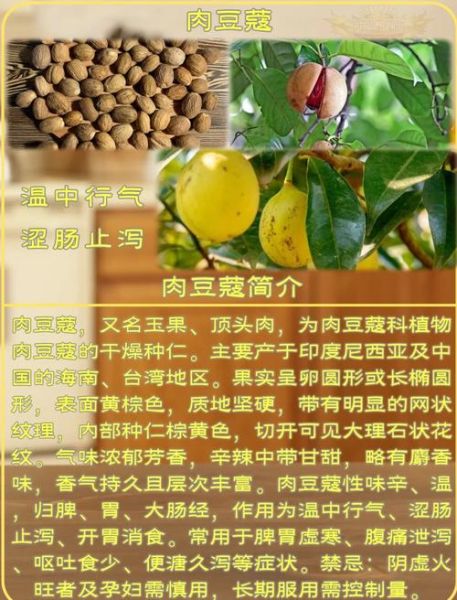 肉蔻的功效与作用是什么_肉蔻怎么吃才有效-第1张图片-山城妙识