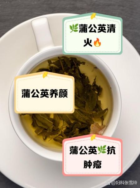 喝蒲公英茶有什么好处和坏处_蒲公英茶副作用有哪些-第1张图片-山城妙识 喝蒲公英茶有什么好处和坏处_蒲公英茶副作用有哪些-第1张图片-山城妙识