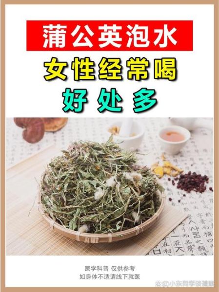 喝蒲公英茶有什么好处和坏处_蒲公英茶副作用有哪些-第2张图片-山城妙识 喝蒲公英茶有什么好处和坏处_蒲公英茶副作用有哪些-第2张图片-山城妙识