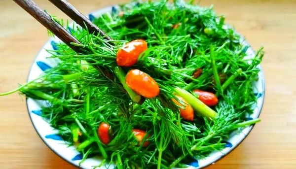 凉拌茴香要不要焯水_焯水后口感会变差吗-第1张图片-山城妙识