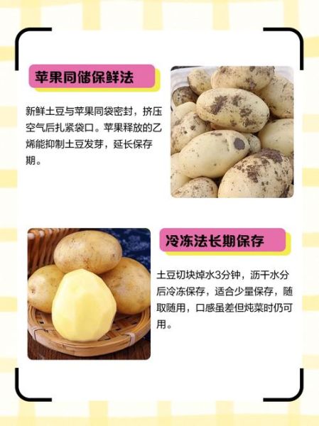 土豆怎么保存不发芽_土豆放冰箱还是常温-第1张图片-山城妙识