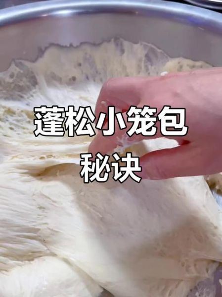 家庭小笼包怎么和面_小笼包汤汁怎么做-第2张图片-山城妙识