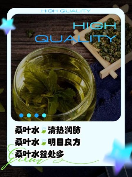 桑树叶的功效与作用_桑树叶怎么泡水喝-第2张图片-山城妙识