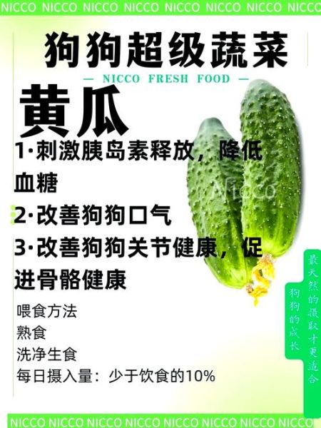 水果黄瓜能减肥吗_水果黄瓜的功效与作用-第3张图片-山城妙识 水果黄瓜能减肥吗_水果黄瓜的功效与作用-第3张图片-山城妙识