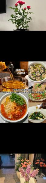 芝麻香油哪个牌子好吃_如何挑选正宗小磨香油-第1张图片-山城妙识 芝麻香油哪个牌子好吃_如何挑选正宗小磨香油-第1张图片-山城妙识