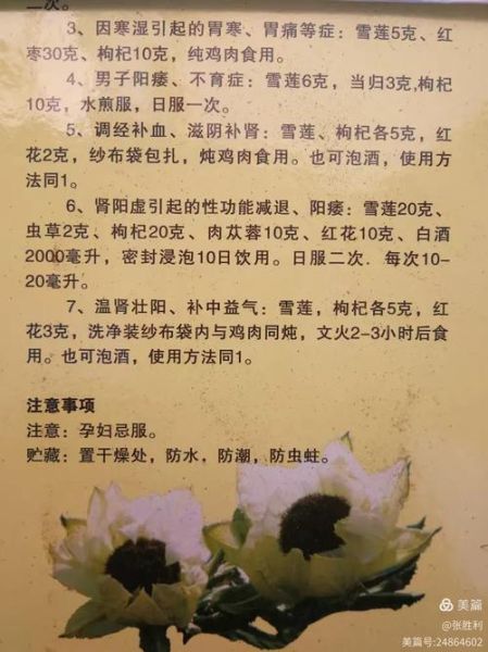 雪莲花民间秘方有哪些_雪莲花泡酒配方大全-第2张图片-山城妙识 雪莲花民间秘方有哪些_雪莲花泡酒配方大全-第2张图片-山城妙识