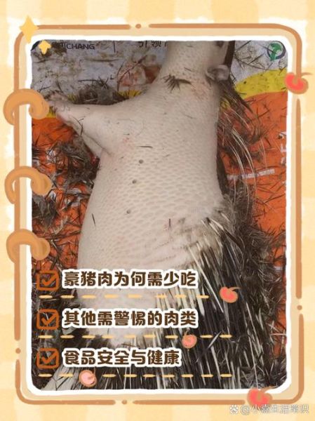 豪猪肉的功效与作用_豪猪肉能治什么病-第2张图片-山城妙识 豪猪肉的功效与作用_豪猪肉能治什么病-第2张图片-山城妙识