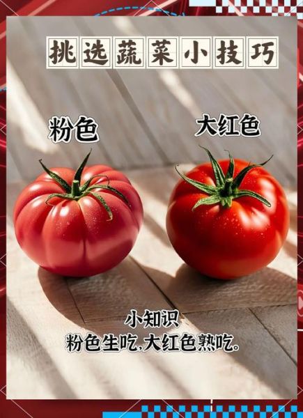 秋天有哪些时令蔬菜_秋季蔬菜怎么挑-第3张图片-山城妙识