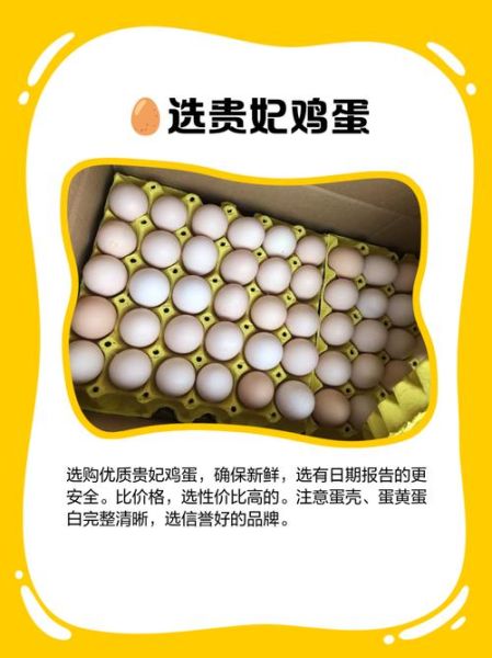 贵妃鸡蛋和普通鸡蛋有什么区别_营养价值对比-第1张图片-山城妙识 贵妃鸡蛋和普通鸡蛋有什么区别_营养价值对比-第1张图片-山城妙识