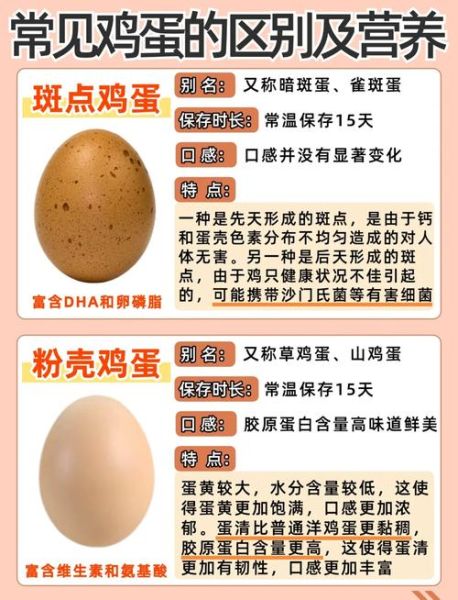 贵妃鸡蛋和普通鸡蛋有什么区别_营养价值对比-第3张图片-山城妙识 贵妃鸡蛋和普通鸡蛋有什么区别_营养价值对比-第3张图片-山城妙识