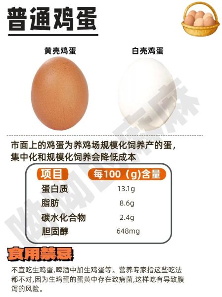 贵妃鸡蛋和普通鸡蛋有什么区别_营养价值对比-第2张图片-山城妙识 贵妃鸡蛋和普通鸡蛋有什么区别_营养价值对比-第2张图片-山城妙识