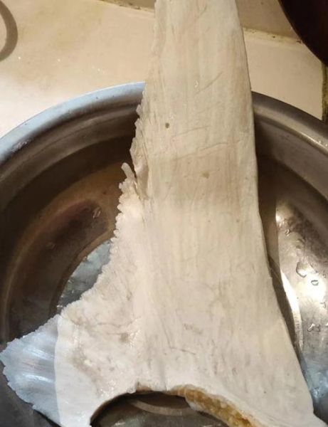 鱼翅怎么泡发成丝_鱼翅泡发多久才软-第1张图片-山城妙识