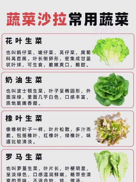 生菜的营养价值及功效_生菜不能和什么一起吃-第1张图片-山城妙识