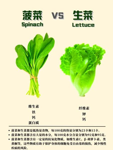 生菜的营养价值及功效_生菜不能和什么一起吃-第3张图片-山城妙识