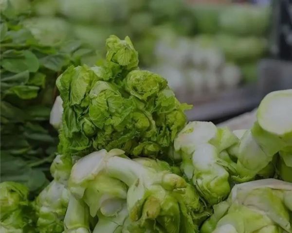 抱儿菜怎么做好吃_抱儿菜的家常做法-第1张图片-山城妙识