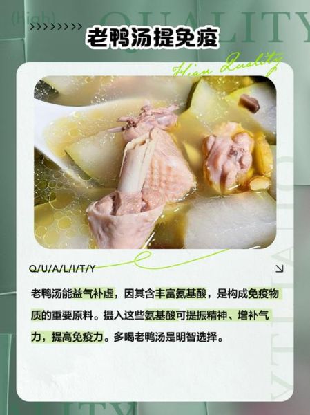 老鸭汤的功效与作用禁忌_孕妇能喝吗-第1张图片-山城妙识
