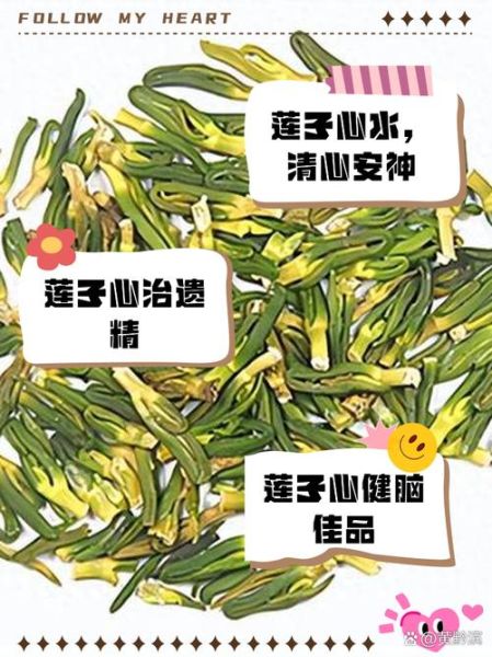 新鲜莲子心怎么泡水喝_莲子心泡水一天喝几次-第3张图片-山城妙识
