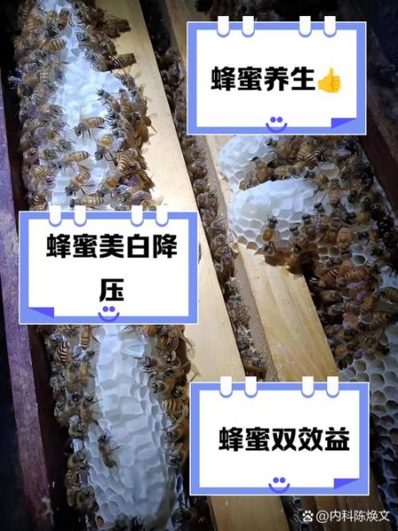 长期喝蜂蜜的好处与坏处_蜂蜜每天喝多少才健康-第3张图片-山城妙识