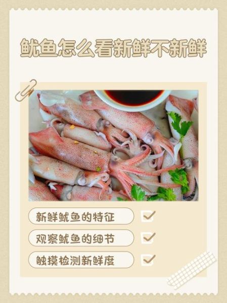 新鲜鱿鱼怎么处理才能吃_鱿鱼去腥技巧-第1张图片-山城妙识