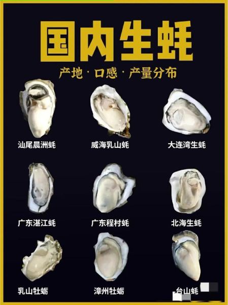 学烤生蚝多少学费_学烤生蚝学费贵不贵-第3张图片-山城妙识