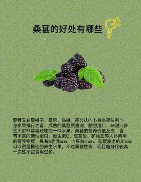 桑葚的功效与作用_桑葚怎么保存-第3张图片-山城妙识 桑葚的功效与作用_桑葚怎么保存-第3张图片-山城妙识