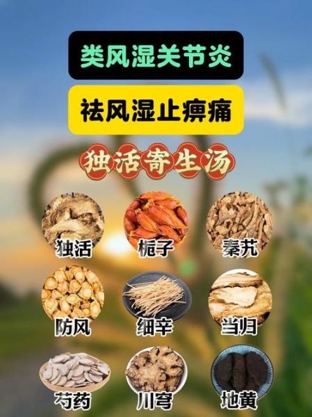 独活寄生汤的功效与作用_独活寄生汤方歌解析-第1张图片-山城妙识 独活寄生汤的功效与作用_独活寄生汤方歌解析-第1张图片-山城妙识