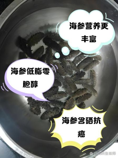 海参营养价值真的高吗_海参和鸡蛋哪个更营养-第2张图片-山城妙识
