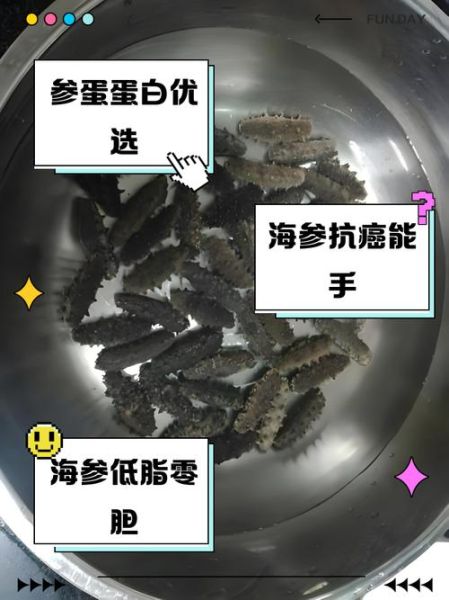 海参营养价值真的高吗_海参和鸡蛋哪个更营养-第3张图片-山城妙识