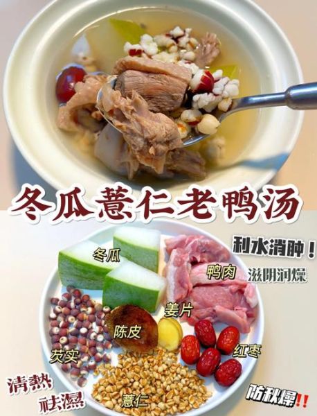 冬瓜老鸭汤的功效与作用_适合哪些人喝-第1张图片-山城妙识 冬瓜老鸭汤的功效与作用_适合哪些人喝-第1张图片-山城妙识