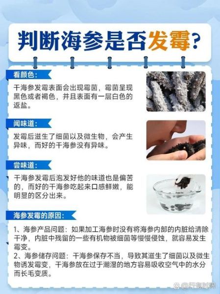 干海参发霉还能吃吗_如何辨别发霉干海参-第2张图片-山城妙识 干海参发霉还能吃吗_如何辨别发霉干海参-第2张图片-山城妙识