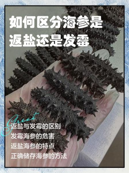 干海参发霉还能吃吗_如何辨别发霉干海参-第1张图片-山城妙识 干海参发霉还能吃吗_如何辨别发霉干海参-第1张图片-山城妙识