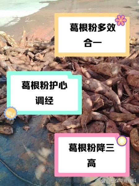 女性吃葛根的功效与作用_葛根粉怎么吃效果最好-第3张图片-山城妙识