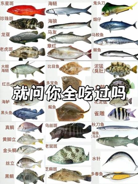海鱼种类图片和名字大全_常见海鱼名称对照表-第2张图片-山城妙识