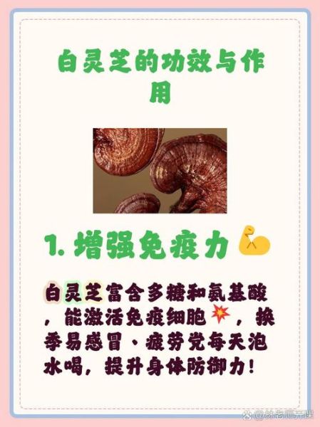 白灵芝的功效与作用_白灵芝怎么吃效果最好-第1张图片-山城妙识 白灵芝的功效与作用_白灵芝怎么吃效果最好-第1张图片-山城妙识