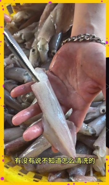鱿鱼怎么清洗_新鲜鱿鱼处理步骤-第2张图片-山城妙识 鱿鱼怎么清洗_新鲜鱿鱼处理步骤-第2张图片-山城妙识