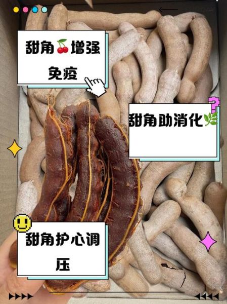 甜角是什么_甜角怎么吃最好-第1张图片-山城妙识