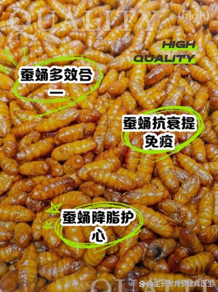 女人吃蚕蛹有啥好处_蚕蛹对女性的功效与作用-第1张图片-山城妙识