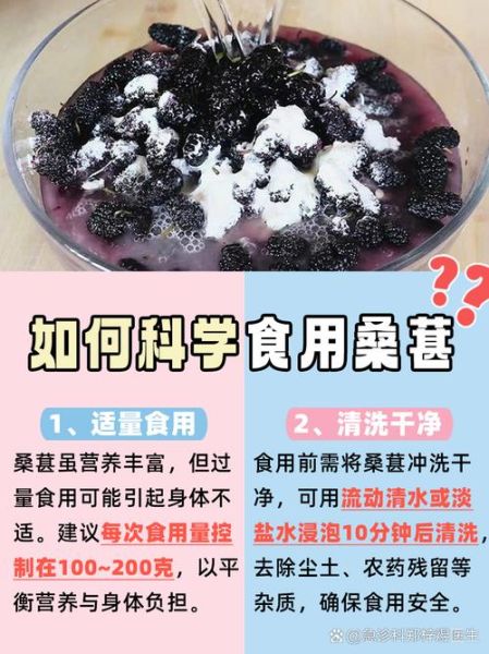 桑葚酱的功效与作用禁忌_孕妇能吃吗-第1张图片-山城妙识