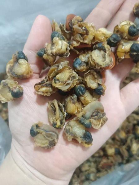 干扇贝肉怎么泡发_干扇贝肉的家常做法-第1张图片-山城妙识 干扇贝肉怎么泡发_干扇贝肉的家常做法-第1张图片-山城妙识