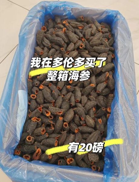 加拿大海参怎么泡发_加拿大海参泡发多久-第1张图片-山城妙识