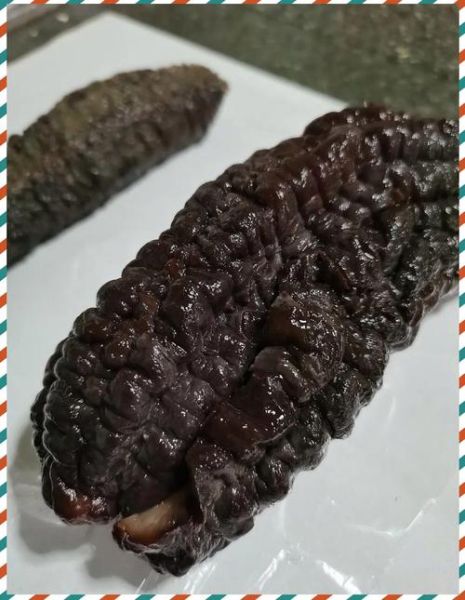 加拿大海参怎么泡发_加拿大海参泡发多久-第3张图片-山城妙识