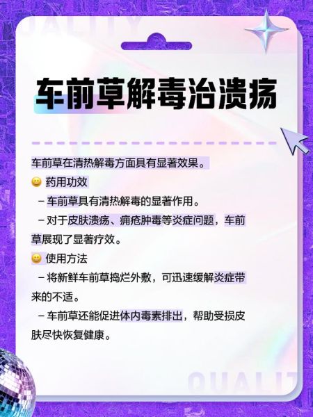 车钱草的功效与作用_车钱草怎么吃效果最好-第1张图片-山城妙识 车钱草的功效与作用_车钱草怎么吃效果最好-第1张图片-山城妙识