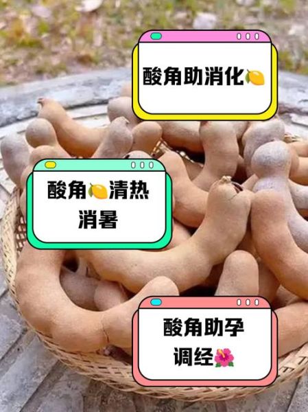 女人吃酸角有什么好处_酸角对女性的功效与作用-第1张图片-山城妙识