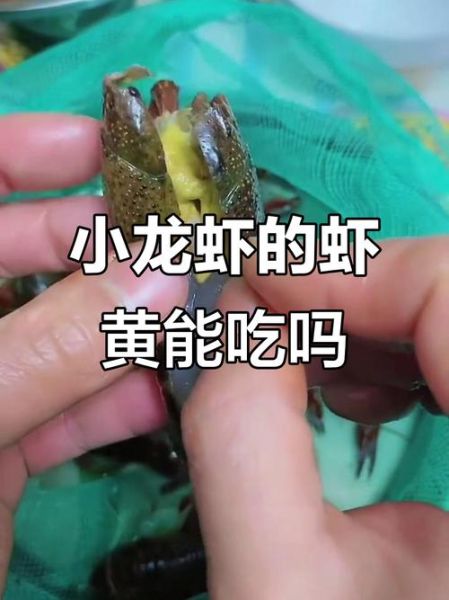 小龙虾的虾黄能吃吗_虾黄到底安全吗-第2张图片-山城妙识 小龙虾的虾黄能吃吗_虾黄到底安全吗-第2张图片-山城妙识