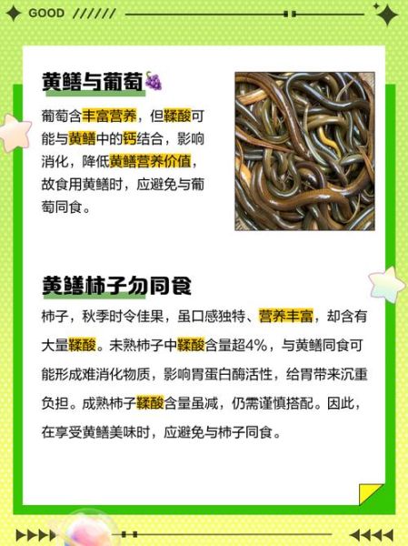 黄鳝吃什么长得快_黄鳝饲料配方大全-第1张图片-山城妙识 黄鳝吃什么长得快_黄鳝饲料配方大全-第1张图片-山城妙识
