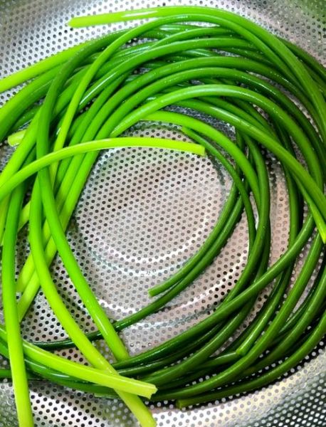 凉拌青蒜苗怎么做_青蒜苗凉拌需要焯水吗-第2张图片-山城妙识